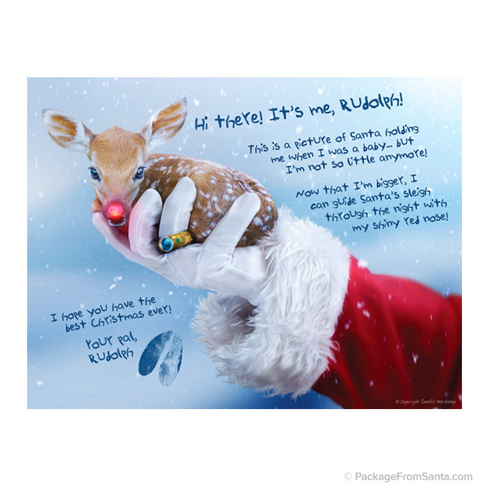 Rudolph Photo - Baby Rudolph | Enchanting Christmas Keepsake – Package ...