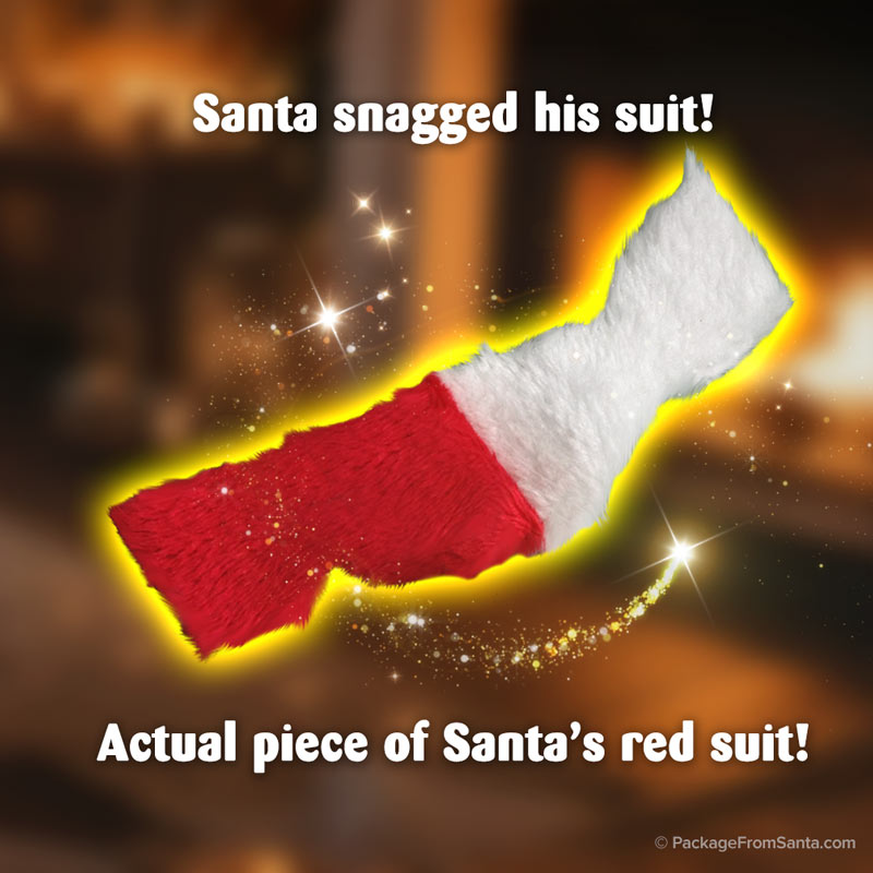 Santa Evidence Kit™ | Magical Christmas Experience – Package From Santa®